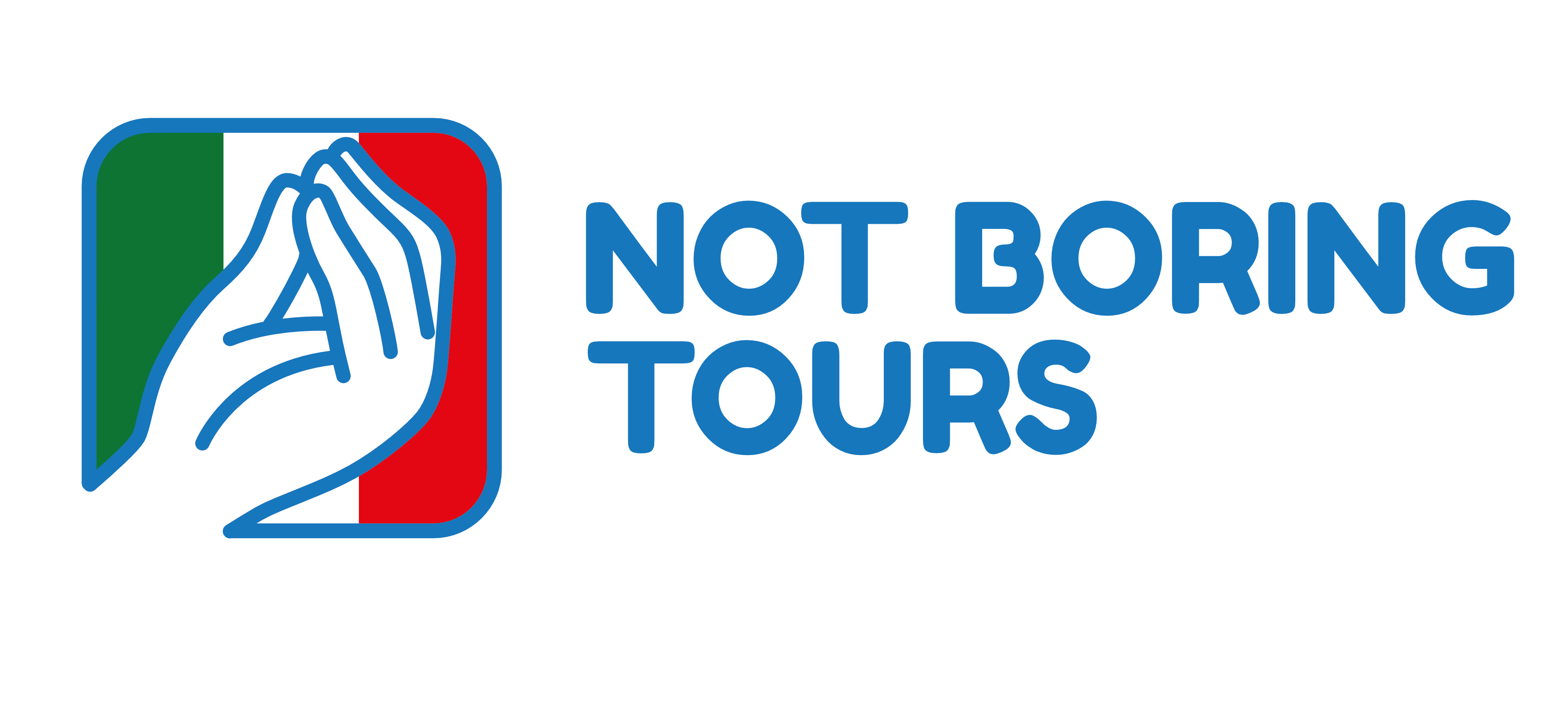 Not Boring Tours logo